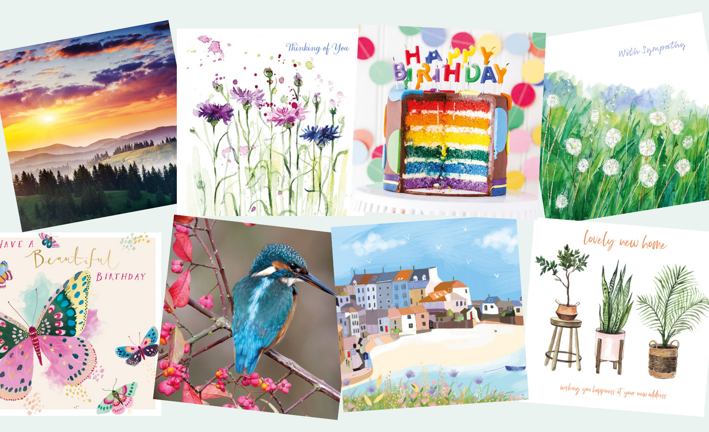 Online Store - Transform Trade