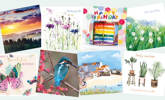 Online Store - Transform Trade