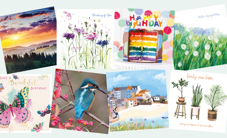 Online Store - Transform Trade