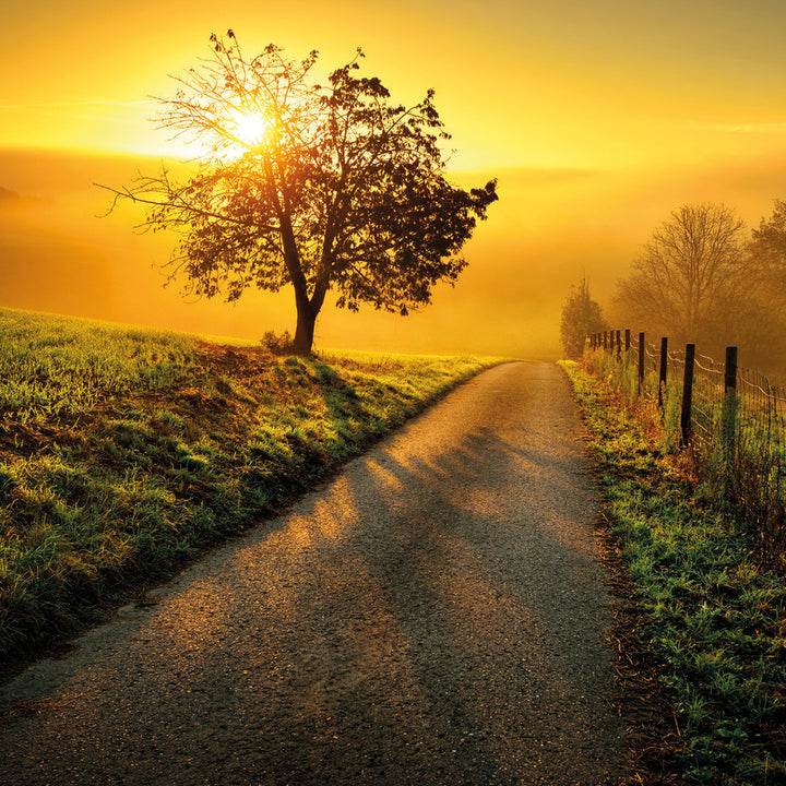 Online Store - Transform Trade