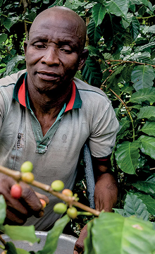 Traidcraft Household – Transform Trade