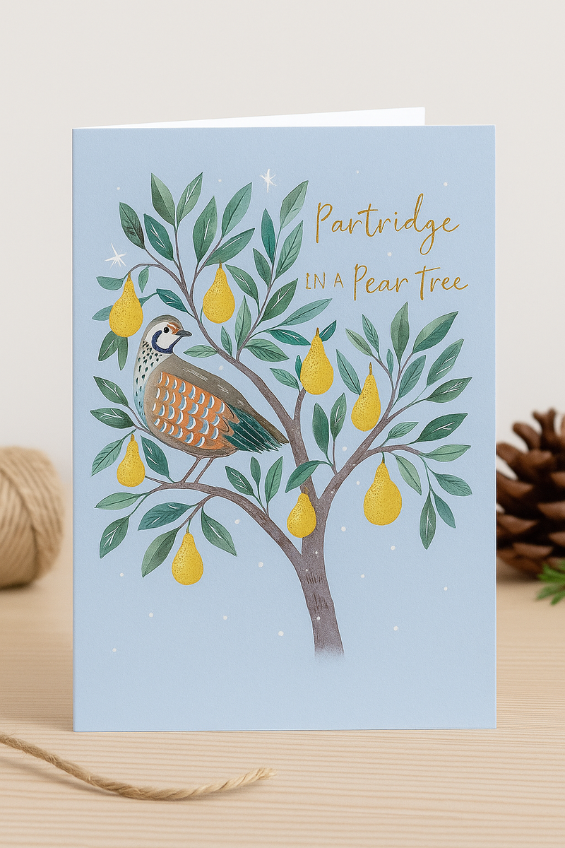 Online Store - Transform Trade